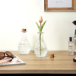 MyGift Antique Embossed Apothecary Glass Bottle - Mini Decorative Reed Diffuser Bottles with Cork Lid, Set of 2