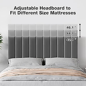 Amyove Full Size Bed Frame with Headboard, Velvet Upholstered Platform Bed Frame with Adjustable Headboard and Wooden Slats Support, No Box Spring Needed, Easy Assembly, Dark Grey (Full)