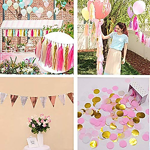 MerryNine Sparkly 40PCS Gold Pink Tassel Garland and 15PCS Paper Pennant Banner Triangle Flags Bunting and 10g Gold Paper Confetti