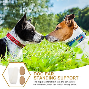 Ipetboom Dog Ear Posting Kit, Dog Ear Stand Sticker Up Support Tool Dog Ear Fixed Correction Vertical Holder for Corgi Small Doberman 1 Pair