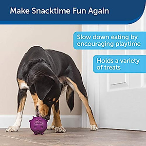 PetSafe Busy Buddy Cow Wow Dog Chew Toy - Treat Dispenser - Small Medium/Large