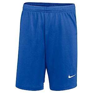 Nike Youth DRI-FIT Classic II Shorts (Large Royal)