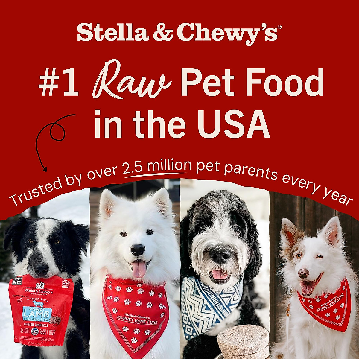 Stella & Chewy’s Freeze Dried Raw Dinner Patties – Grain Free Dog Food, Protein Rich Stella’s Super Beef Recipe – 14 oz Bag