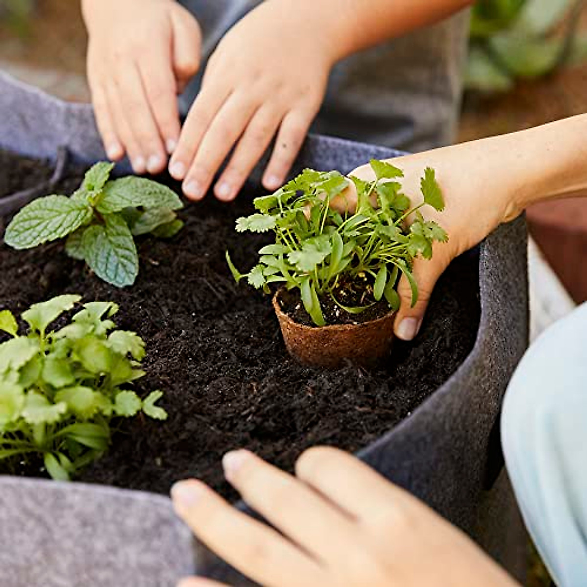 Back to the Roots Organic & Plantable Seed Starting Pots (24 CT)