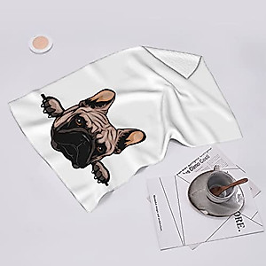 French Bulldog Hand Towels Set of 2, Super-Absorbent Soft Kitchen Fingertip Bath Towels for Bathroom Beach Gym Hotel Salon Spa Sport 27.5x15.7 Inch