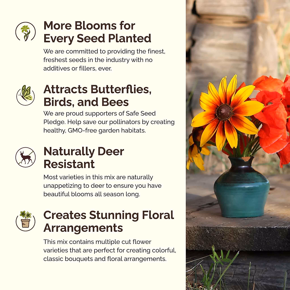 Eden Brothers Georgia Wildflower Mixed Seeds for Planting, 1/4 lb, 120,000+ Seeds with Cornflower, Cosmos, African Daisy | Attracts Pollinators, Plant in Spring or Fall, Zones 3, 4, 5, 6, 7, 8, 9, 10