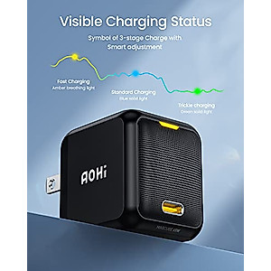 AOHI 65W PD USB C Charger, GaN+ Magcube Mini Fast Wall Charger Power Adapter with 4ft USB C to USB C LED Display Cable for Notebook MacBook Pro/Air, Galaxy S22/S21, iPhone 14/Plus/Pro Max/13/12, Black