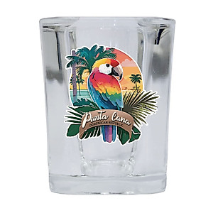 R and R Imports Punta Cana Dominican Republic Souvenir 2.5 Ounce Shot Glass Square PARROT1