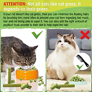 HavenJanny 50g Cat Grass Teething Stick, Freezed Drying Cat Grass Sticks Snacks for Cats, Edible Cat Treats for Teeth Cleaning and Hairball Removal