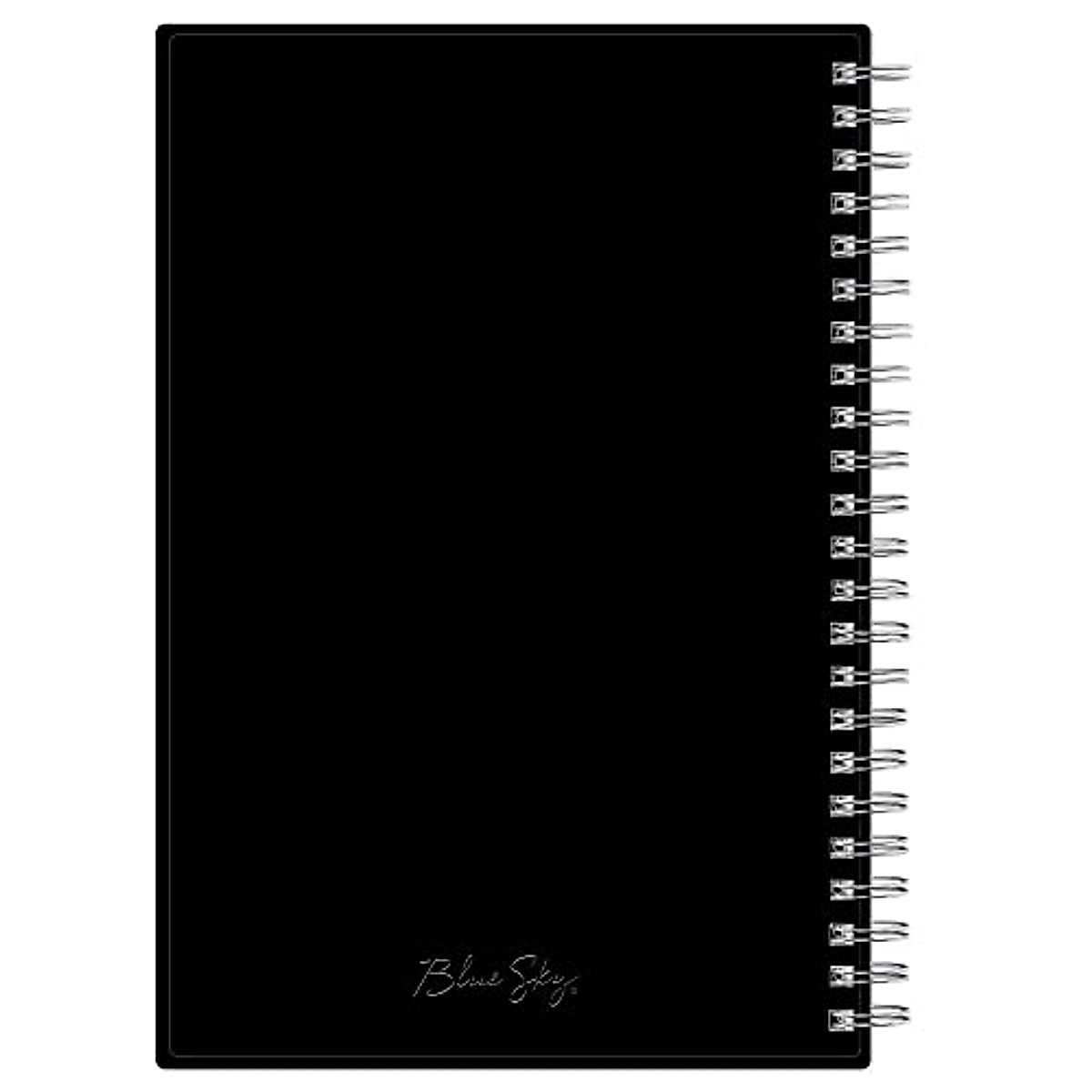 Blue Sky 2023-2024 Academic Year Weekly and Monthly Planner, 5" x 8", Flexible Cover, Wirebound, Enterprise (144720)