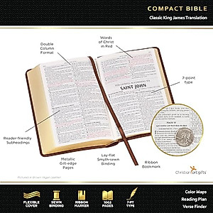 KJV Holy Bible, Compact Faux Leather Red Letter Edition - Ribbon Marker, King James Version, Pink/Burgundy, Zipper Closure (KJV Compact Editions)