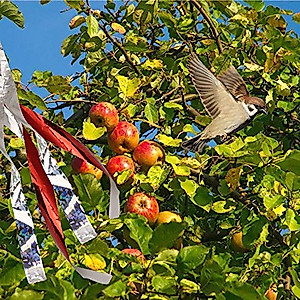 HICI Bird Reflective Tape Bird Repellent Scare Tape Scare Ribbon Red Bird Deterrent 325FTx1