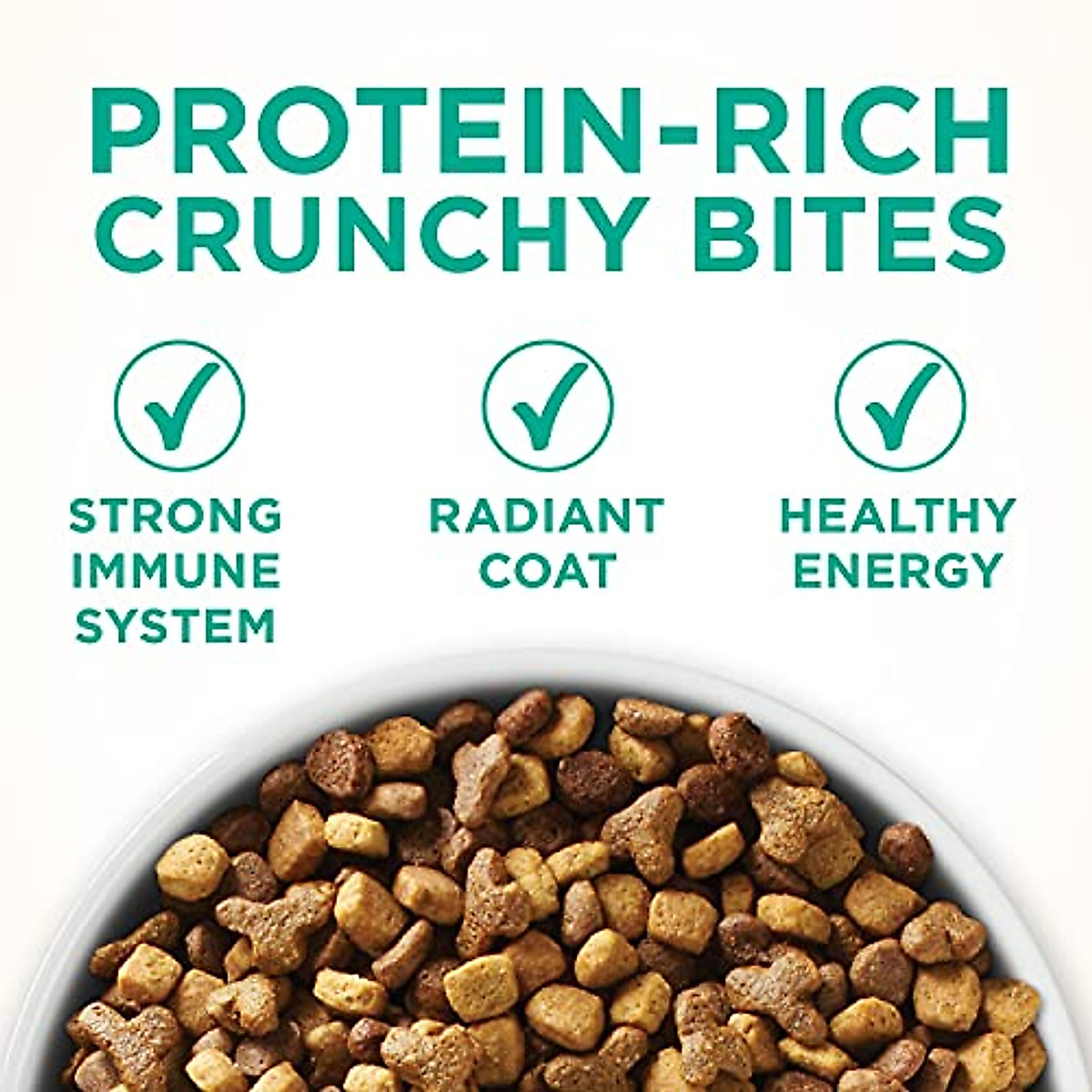 Purina ONE Sensitive Stomach, Sensitive Skin, Natural Dry Cat Food, +Plus Sensitive Skin and Stomach Formula - 7 lb. Bag