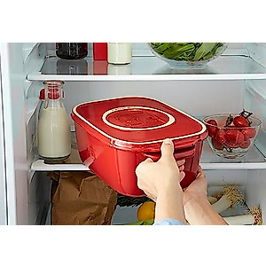 Emile Henry, Burgundy Cheese Storage Box/Serving Platter, 12 x 8 x 4.4in