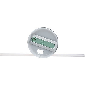 Stanley Quencher H2.0 FlowState Stainless Steel Vacuum Insulated Tumbler with Lid and Straw for Water, Iced Tea or Coffee, Smoothie and More, Charcoal, 30 oz