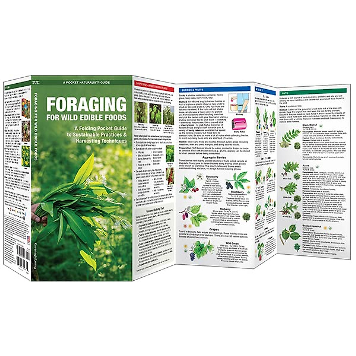 Foraging for Wild Edible Foods: A Folding Pocket Guide to Sustainable Practices & Harvesting Techniques (Outdoor Recreation and Survival)