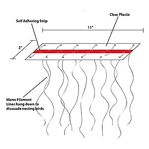 Bird B Gone MMSWALLOW Swallow Shield, Clear