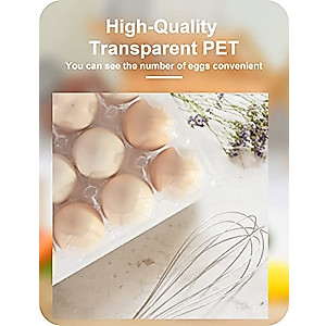Pintuson Egg Cartons Cheap Bulk 60 Pack - Holds 1 Dozen Clear Blank Egg Cartons for Chicken Eggs - Medium Plastic Egg Carton for Home Ranch Chicken Farm, Commercial Market Display (3x4 Grids)