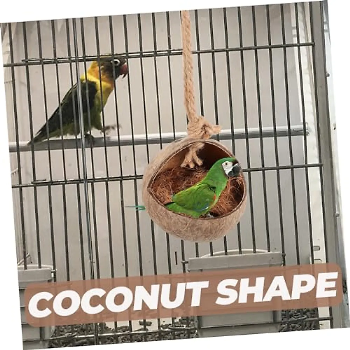 balacoo Coconut Shell nest Parrot Hammock Hamster Hammock Suspending Bird Hammock Bird House Parrot Supply Bird Coco Swing Parrot Sleeping Hammock Bird Sleeping Nest The Bird's nest Bed