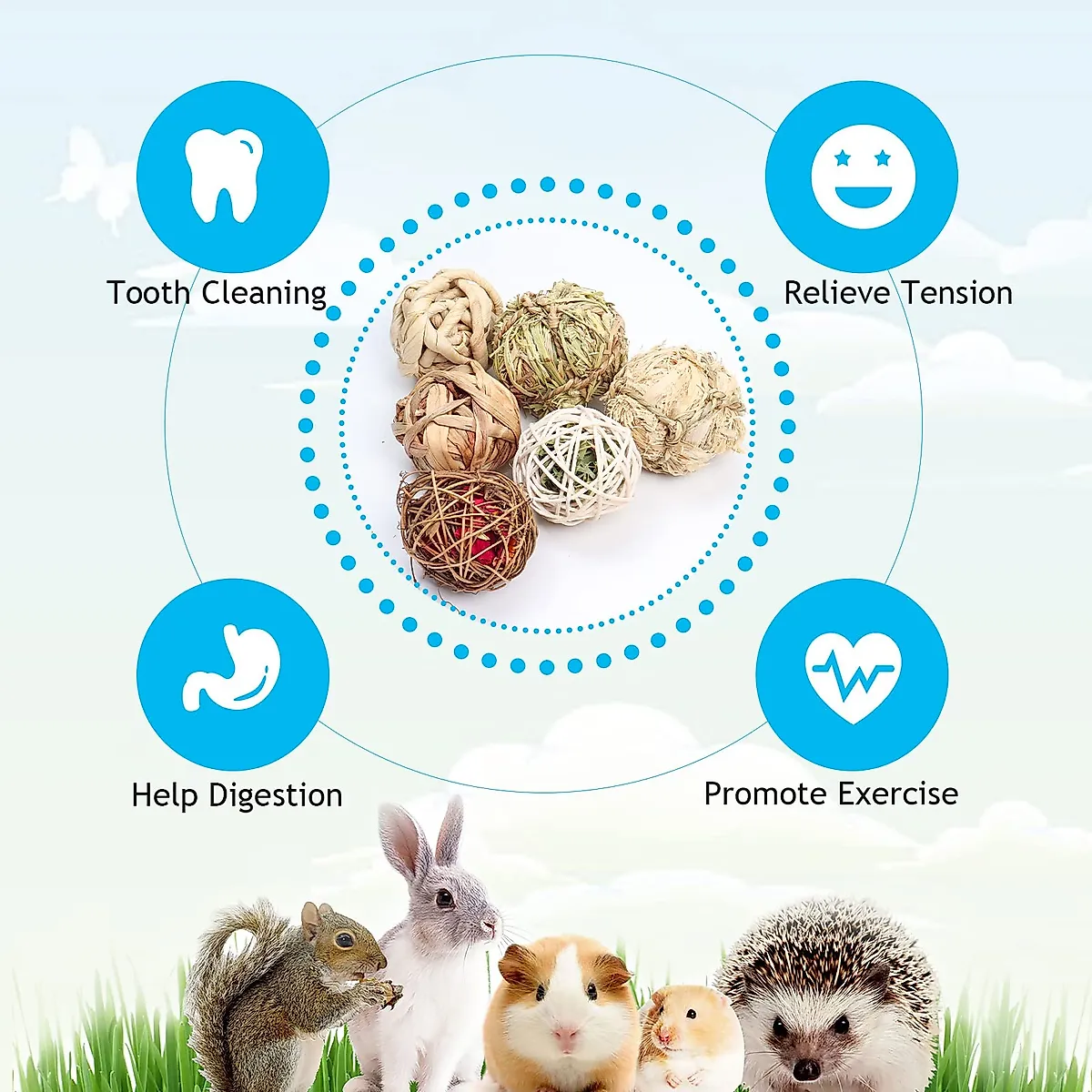 DAMPET Small Animals Play Balls, Chew Grass Balls & Rolling Chew Toys for Bunny, Improve Pets Dental Health for Rabbit, Chinchilla, Guinea Pigs, Hamsters, Gerbils, Rats, Mice (6 Pieces)