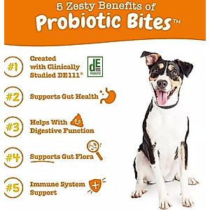 Probiotic Bites for Dogs 170 Soft Chews– Compatible with Zesty Paws Pumpkin Flavor