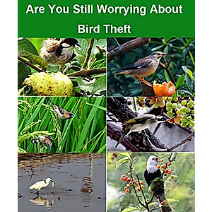 SUJAYU Bird Scare Tape, 1''x260FT Double Sided Repellent Deterrent Reflective Tape for Scaring Birds Away (Silver-1)