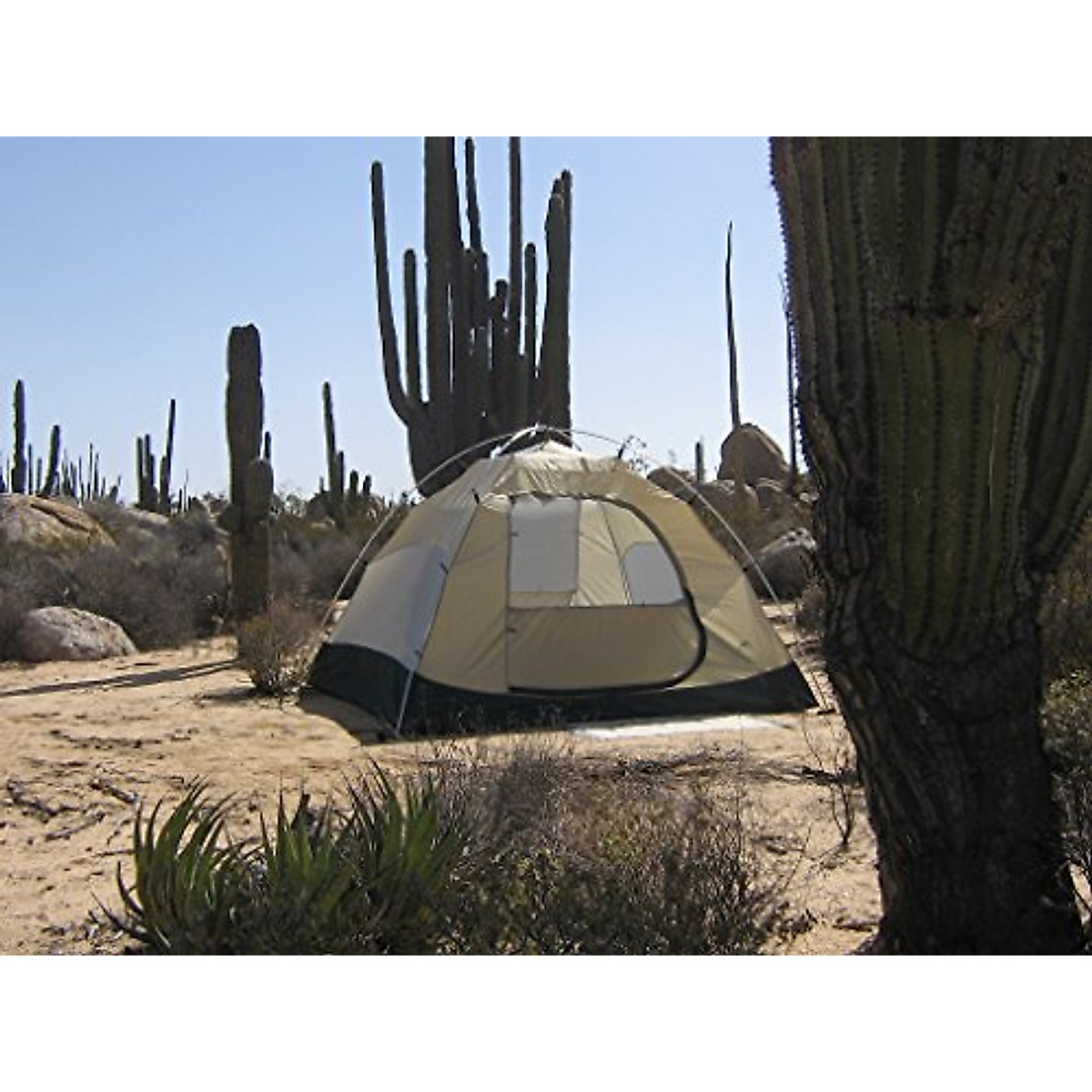 ALPS Mountaineering Meramac 4 Outfitter Tent Blue/Tan