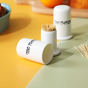 LEETOYI Porcelain Toothpick Holder Dispenser with Lid Set of 2, White