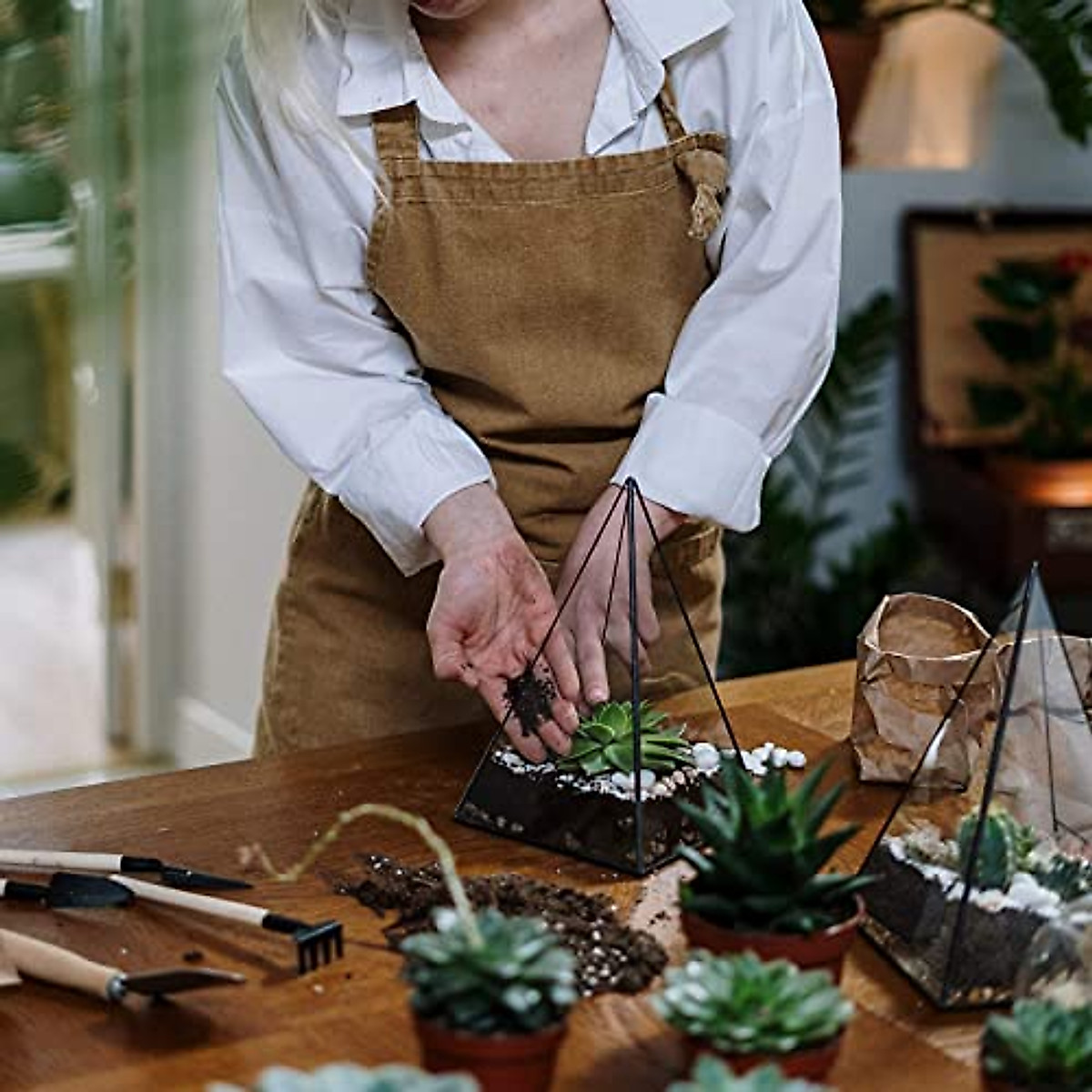 Halatool 3 QT Organic Succulent Soil Potting Mix Garden Top Soil for Indoor & Outdoor Plants Bonsai Aloe Vera Soil for Houseplants Flowers Vegetables & Herbs