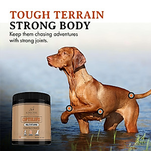OptiLife Multivitamin for Adult Dogs - Contains Probiotics, Allergy Support, Joint Support, Muscle Recovery, and Skin & Coat Support - Powder Supplement (60 Servings)