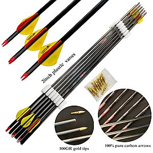 Linkboy Archery Carbon Arrow Hunting Practice Target Arrow with Removable Tip for Compound Recurve Bows, Spine 340,29inch Pack of 12PCS