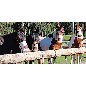 Outfitters Supply Classic Canvas & Leather Horse or Mule Feedbag, Handmade in Montana USA Leather, Adjustable Strap, Solid Leather Bottom with Leather Side Ventilation