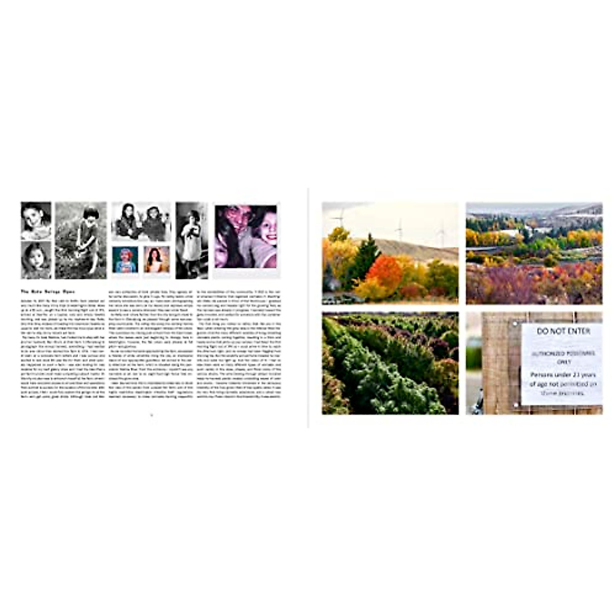 An American Cannabis Story