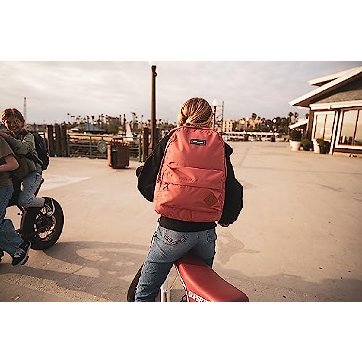 Dakine 365 Pack 21L - Street Art, One Size