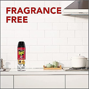 Raid Ant and Roach Killer 17.5 Ounce (Pack of 3)