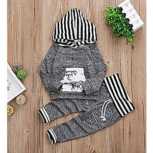 Toddler Infant Baby Boy Girls Clothes Hoodie Fall Winter Sweatsuit Pants Gender Neutral Long Sleeve Outfit Set(2-3 Years, Dinosaur)