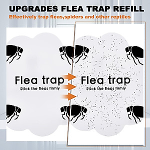 Qualirey 4 Pieces Flea Traps with 8 Sticky Disc 12 Bulbs 4 Electric Wires Pumpkin Flea Traps for Inside Your Home Safe Flea Light Trap for Indoor Safe to Pets