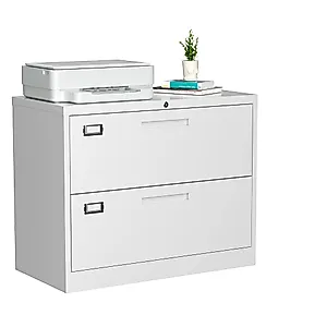 LISSIMO Lateral File Cabinet with 2 Drawer, Locking Filing Cabinet for Home Office,Metal Storage Cabinet for Letter/Legal Size with Anti-tilt Mechanism (White)