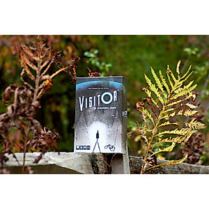 Resonym Visitor in Blackwood Grove, Cooperative Mystery and Deduction Game, Ages 8+, 3 to 6 Players, Games