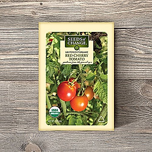 Seeds of Change 6075 Red Cherry Tomato
