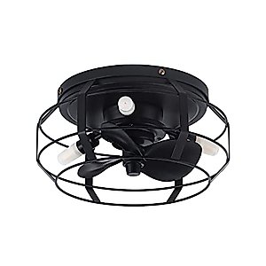 Parrot Uncle Ceiling Fans with Lights and Remote Black Low Profile Ceiling Fan with Light Small Caged Ceiling Fan for Bedroom Bathroom, 12 Inch