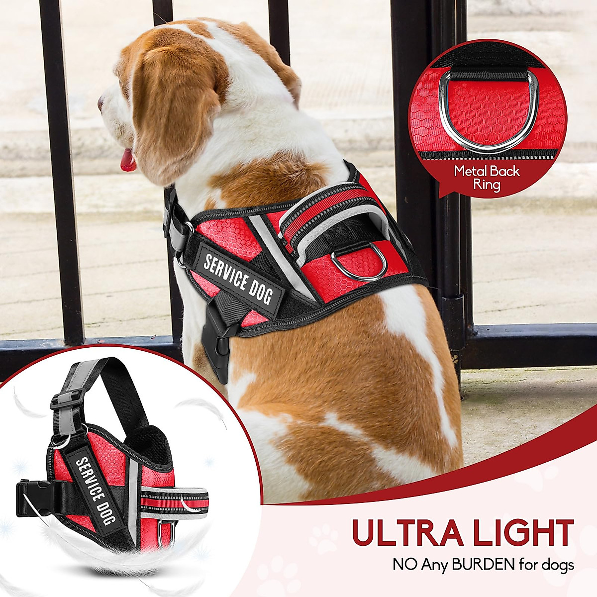 Service Dog Vest Harness and Leash Set, Animire in Training Dog Harness with 10 Dog Patches, Reflective Dog Leash with Soft Padded Handle for Small, Medium, Large, and Extra-Large Dogs (RED,XS)