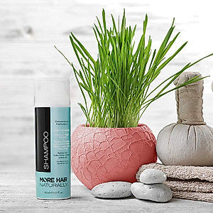 More Hair Naturally TRIPLE STEM CELL SHAMPOO: State Of The Art Hair Improvement For Extra volume, Fullness and Improved Scalp Health