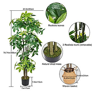 HUAESIN 6.56Ft Artificial Trees Tall Faux Money Tree Big Fake Floor Plants Silk Trees Indoor Pachira Aquatica with 31 Branches for Living Room Home Office Housewarming Gift Farmhouse Outdoor Decor