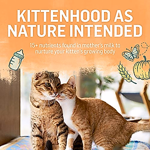 Beyond Purina High Protein, Natural Kitten Food, Kitten Chicken & Oatmeal Recipe - 3 lb. Bag