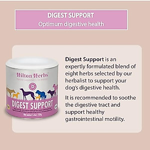 Hilton Herbs Canine Digest Support Supplement for Dogs, 4.4 oz Tub