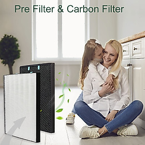 Replacement 400 Filter for Bissell Air400-2521 Pre Filter, 2520 Active Carbon Filter, Filter with 1 Carbon Filter, Compared to Part 2521, 2520