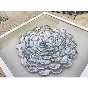 ARTECORS 24"x24" 3D Handmade Wall Decoration with Shadow Box Framed Front Glass for Living Room Dining Room Entrance Corridor Bedroom wall Decor (Abalone Shell 24"x24")