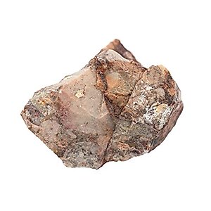 Raw Breccia, Sedimentary Rock Specimen - Approx. 1" - Geologist Selected & Hand Processed - Great for Science Classrooms - Eisco Labs (1)