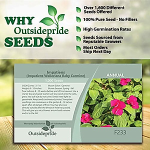 Outsidepride Impatiens Baby Carmine Garden Flower Plants for Pots, Hanging Baskets, Containers, Window Boxes - 2000 Seeds
